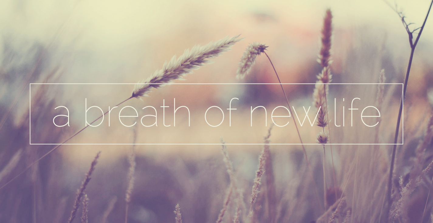 A Breath of New Life, Part 6 | Réveille Nos Cœurs Episode | Revive Our ...